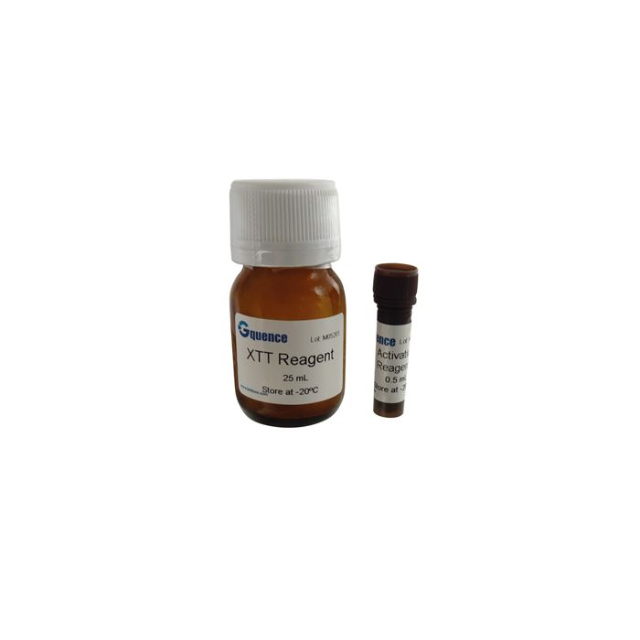 XTT Cell Proliferation Assay Kit